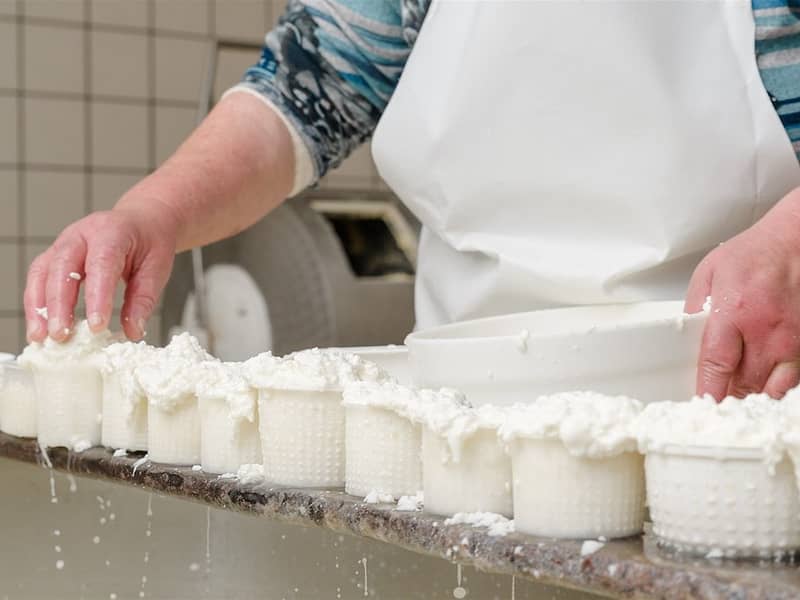 Mozzarella Experience +Cagliata Class: cheesemaking workshop - 2026 ...